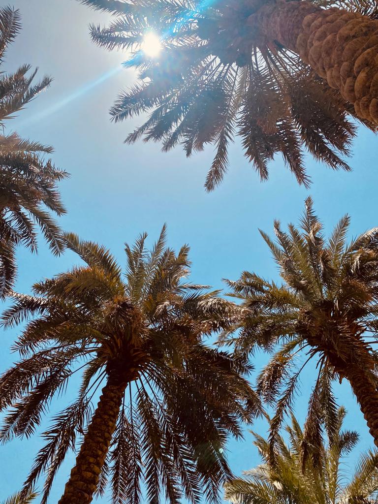 Gallery Scapes: Urban | Land | Art